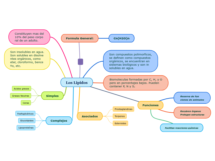 Los Lipidos - Mind Map